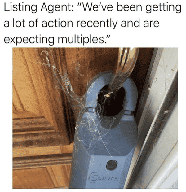 68 Hilarious Real Estate Memes Realtors Can’t Stop Sharing