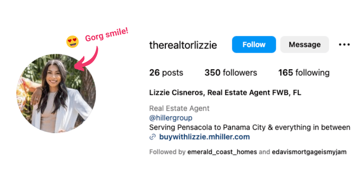 19 Gorgeous Realtor Instagram Bio Examples (+ Template)